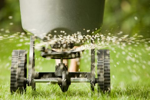 Elite Lawncare Services Lawn Treatments Best Grass Company | Lawn ...